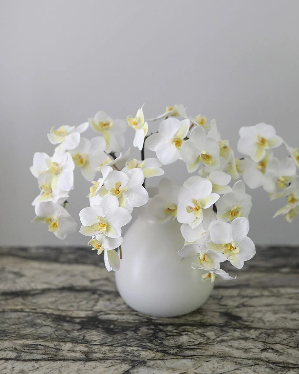 White Orchids – Pure Grace Arrangement | Darla Hansley Flowers